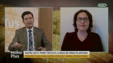 Milho Plus com Ana Luiza Lodi