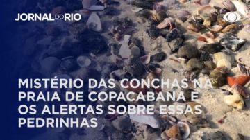 Conchas na praia de Copacabana chamam atenção de banhistas