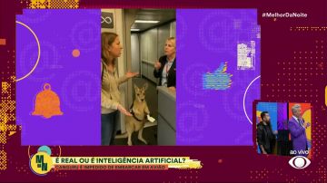 É real ou é IA? Canguru é barrado ao tentar embarcar em voo | Melhor da ...