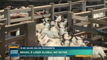 Dia do Pecuarista: o Brasil é líder global no setor | Band