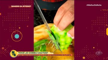 Conheça o Rei do Cacto: a história do chef Timoteo Domingos