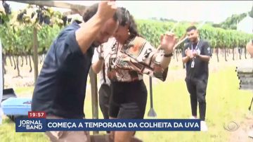 Começa a temporada da colheita da uva no Rio Grande do Sul